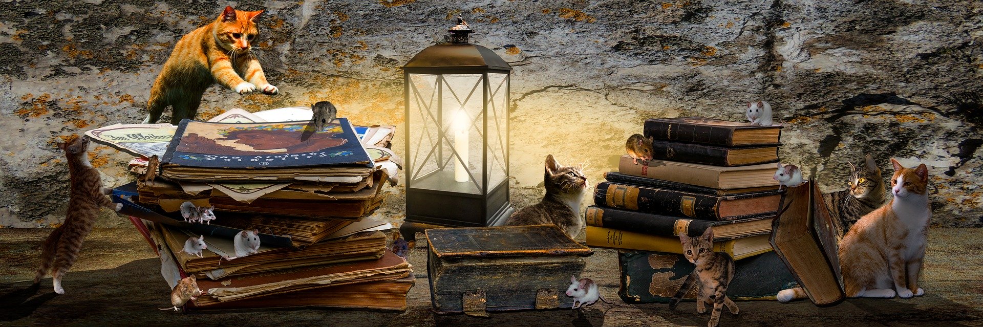 The Mouse's Bride - Island Folklore: Taiwanese Tales & Traditions